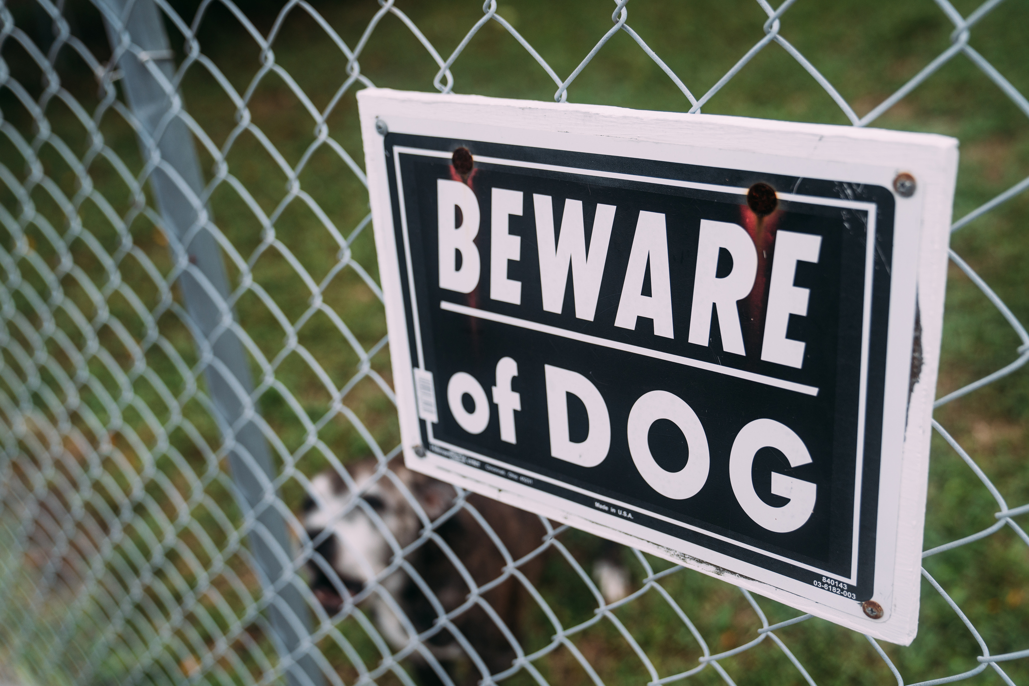Dog Bite and Animal Attack Claims: Texas Liability Law and Steps to ...