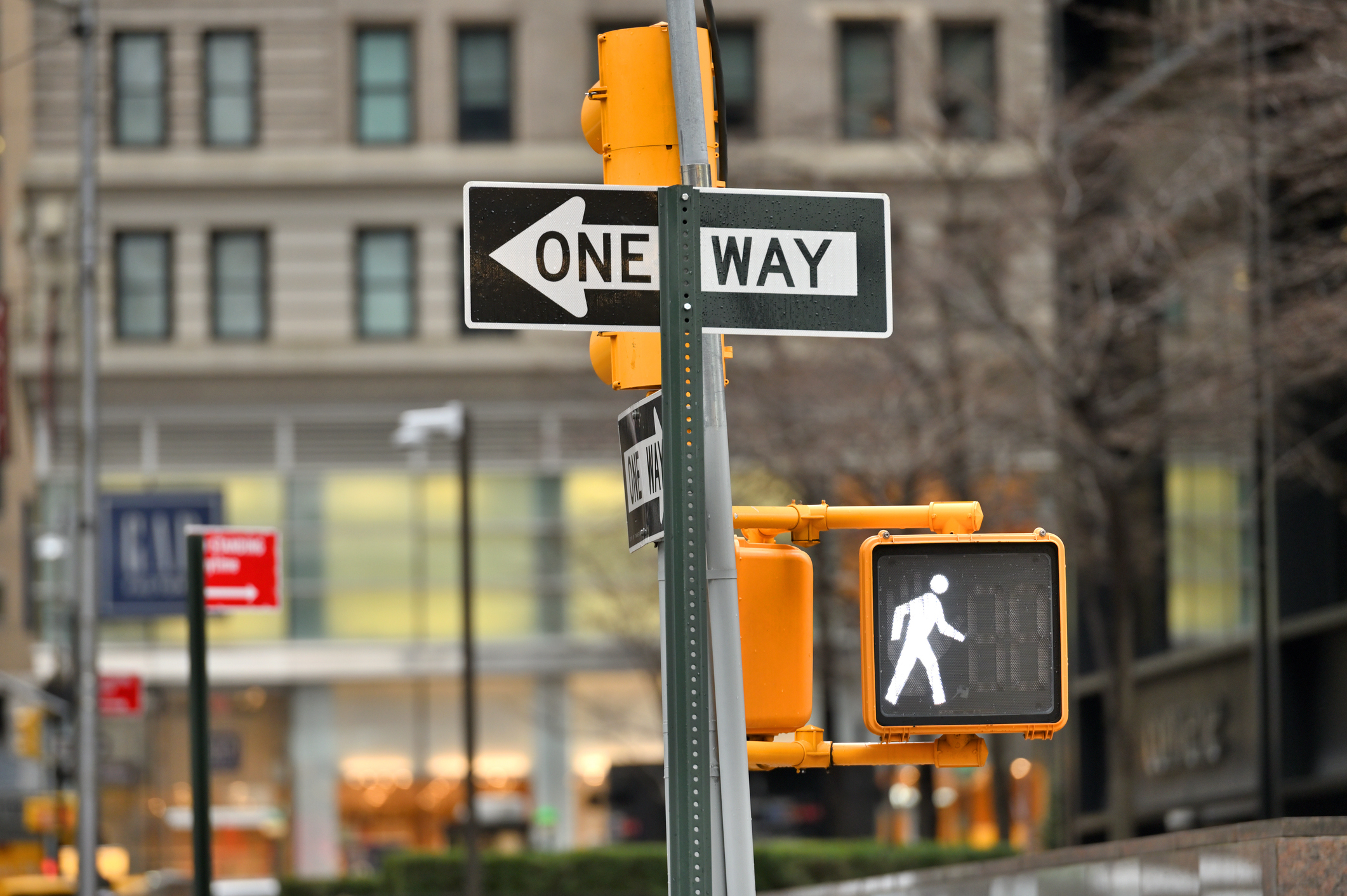 Pedestrian and Bicycle Accidents: Negligence and Protecting Your Rights ...